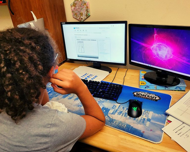 CTCMath Homeschool Review: A Top Online Math Program